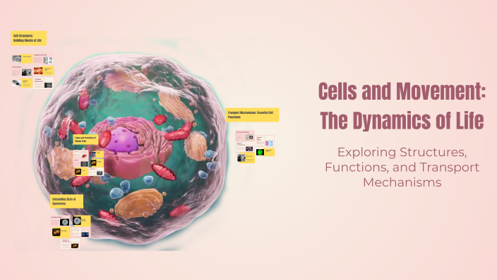 Cells and Movement: The Dynamics of Life by emilija kocic on Prezi