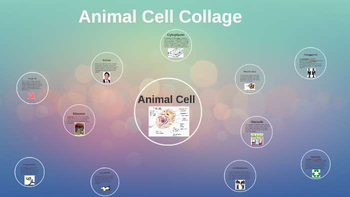 Animal Cell Collage by on Prezi
