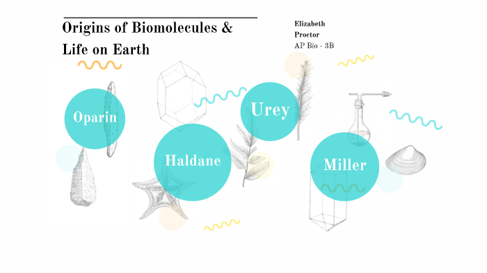 Origins of Biomolecules & Life on Earth by Elizabeth Proctor on Prezi