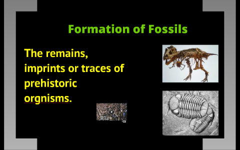 Clues to Earth's Past by Dianna Wiles on Prezi