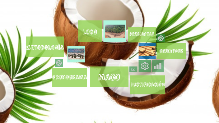 MACO by isabella rizo on Prezi