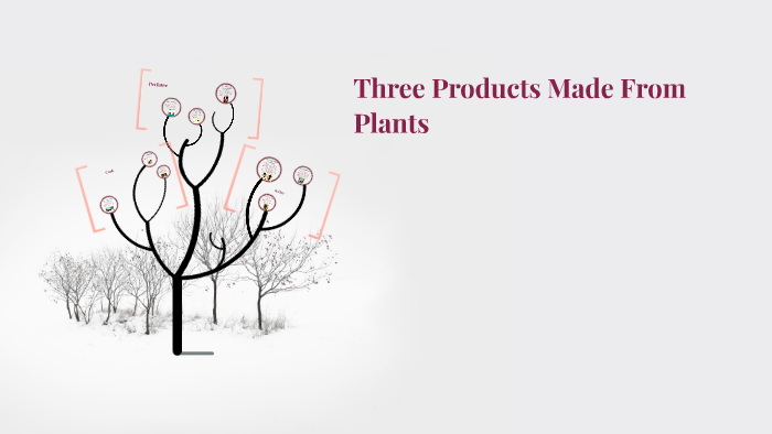 3 things made from plants by lily monson on Prezi