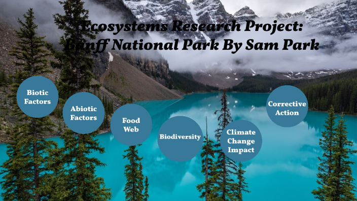 Ecosystems Research Project: Banff National Park by Sam Park by Samuel ...