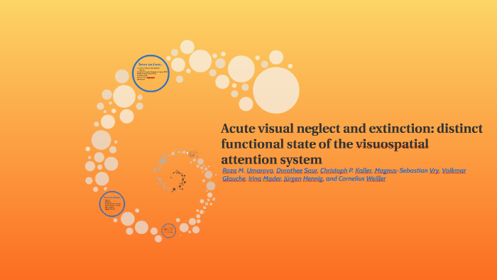 Acute Visual Neglect And Extinction Distinct Functional Sta By Karlynn Mizell On Prezi