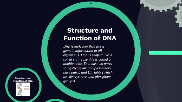 Structure and Function of DNA by raj saluja