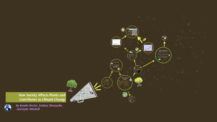 How Society Affects Plants and Contributes to Climate Change by Brooke ...