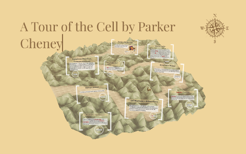 A Tour of the Cell (Army Base) by Parker Cheney on Prezi
