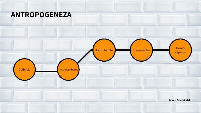 antropogeneza by Jakub Oper on Prezi