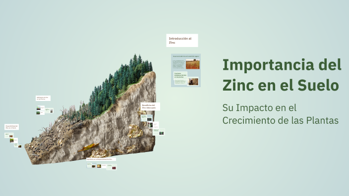 Importancia del Zinc en el Suelo by steven franceschi on Prezi