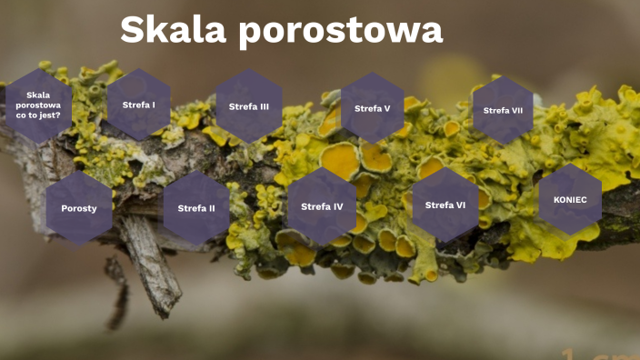 skala porostowa by Martyna Śpiechowicz on Prezi