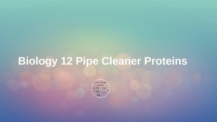 Biology 12 Pipe Cleaner Proteins by Filippe Coloma