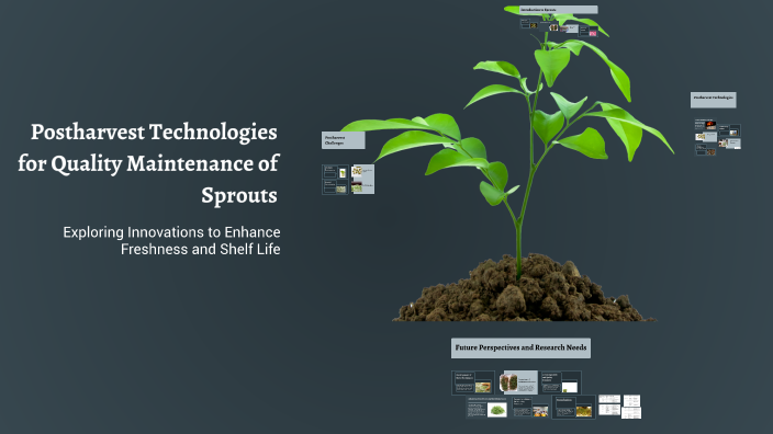 Postharvest Technologies for Quality Maintenance of Sprouts by İrem ...