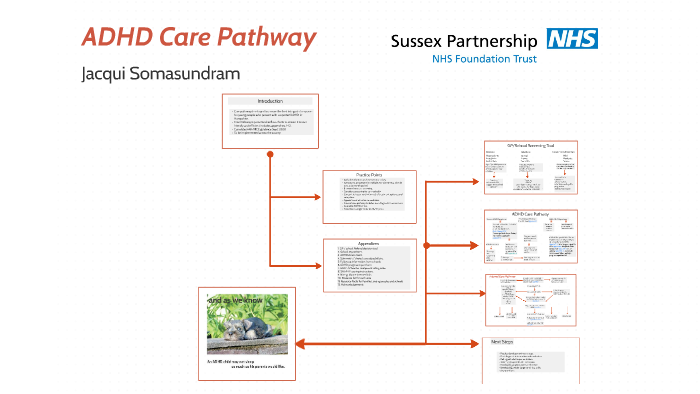 ADHD Care Pathway by jacqui somasundram on Prezi