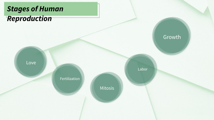 How do Humans Reproduce by Tola Ade on Prezi