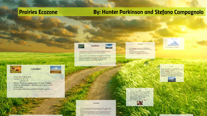 Prairies Ecozone by Hunter Parkinson on Prezi