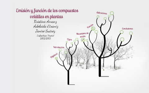Emisión y función de los compuestos volátiles en plantas by Kris A on Prezi