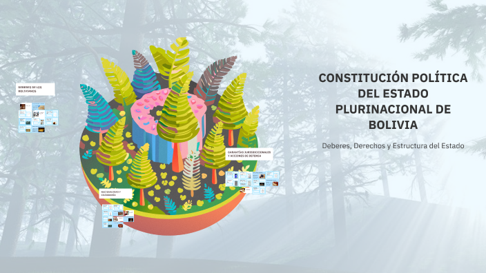 CONSTITUCIÓN POLÍTICA DEL ESTADO PLURINACIONAL DE BOLIVIA by Ariel ...