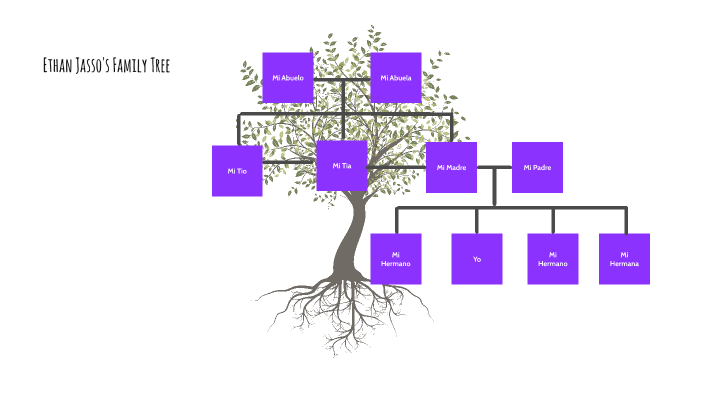 Family Tree Jasso by Ethan Jasso on Prezi