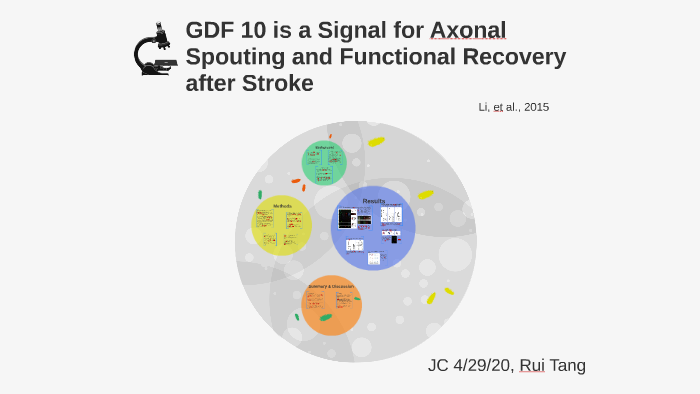 GDF 10 is a Signal for Axonal Spouting and Functional Recove by Rui ...