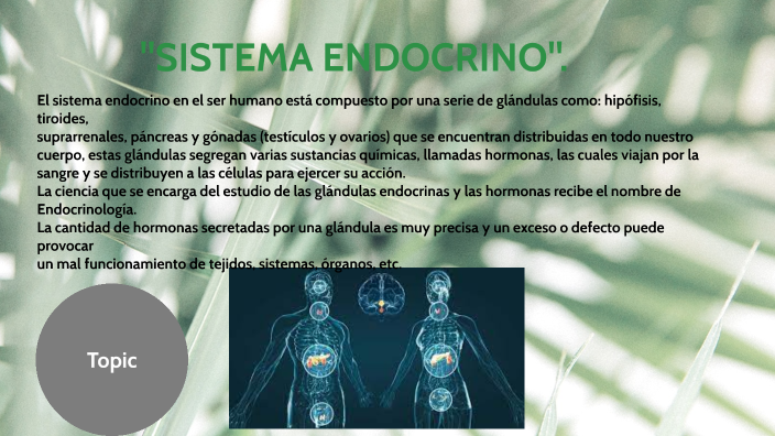 "SISTEMA ENDOCRINO". by Janely Maura Mejia Castillo on Prezi