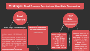 Vitals - Concept Map by DIANA NGUYEN on Prezi Design