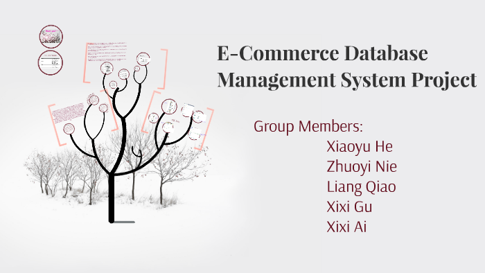 E-Commerce Database Management System Project by Xixi Ai on Prezi