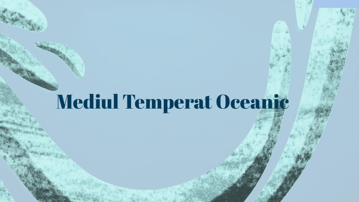 Mediul Temperat Oceanic by Nicorici Alexandra-Denisa on Prezi