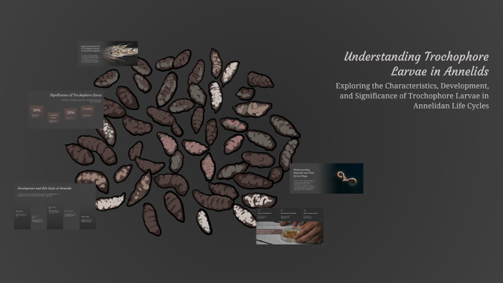 Understanding Trochophore Larvae in Annelids by Dimpal Sahu on Prezi