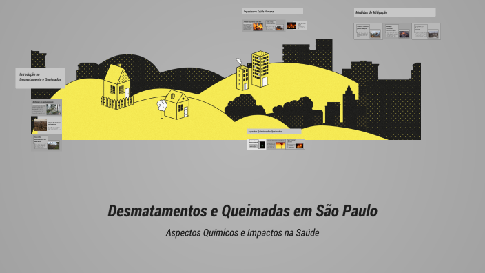 Desmatamentos e Queimadas em São Paulo by lavinia Correia on Prezi