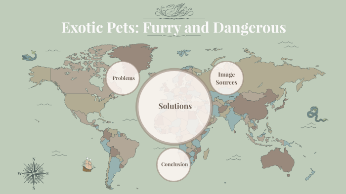 Exotic Pets: Furry and Dangerous by Braden Fitzgerald on Prezi