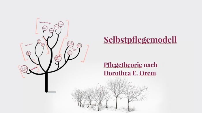 Pflegetheorie nach by Emily Swientek on Prezi