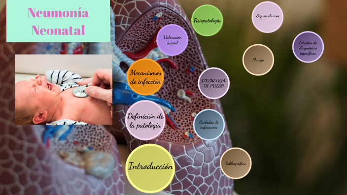 Neumonía Neonatal by Mayi Moms on Prezi
