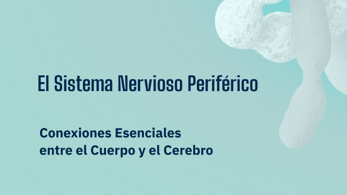 El Sistema Nervioso Periférico by Joshua Benjamín Rosario Ambrosio on Prezi