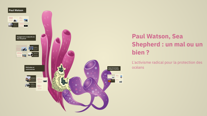 Paul Watson, Sea Shepherd : un mal ou un bien ? by Melvyn Chatel on Prezi