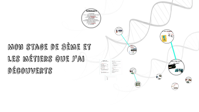 Mon stage de 3ème et les métiers que j'ai découverts by Agathe David on ...