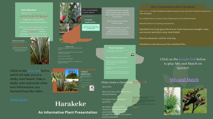 Harakeke by Rebecca Brophy on Prezi