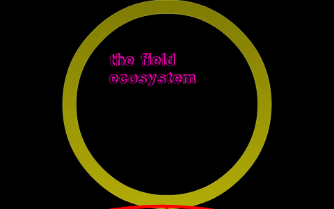 field ecosystem by alyssa beatty on Prezi