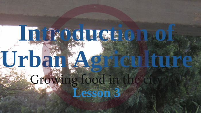 Introduction of Urban Agriculture (Growing food in the city) by j v on ...