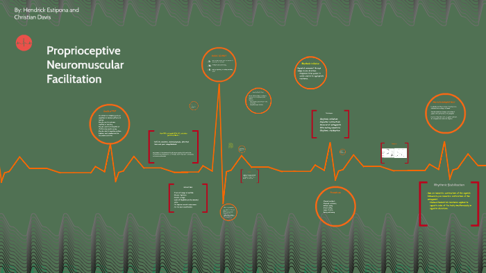 PNF by Christian Davis on Prezi