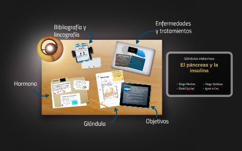 El páncreas y la insulina by Ignacio Cea on Prezi