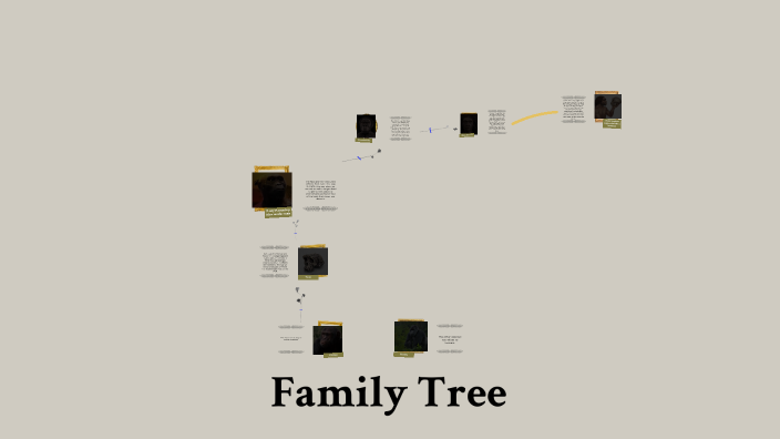 Human Evolution Family tree by Tyler G on Prezi