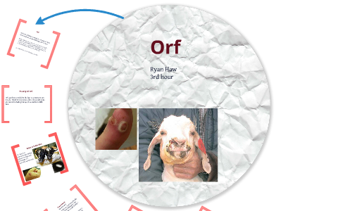 Orf Disease. by Ryan Haw on Prezi