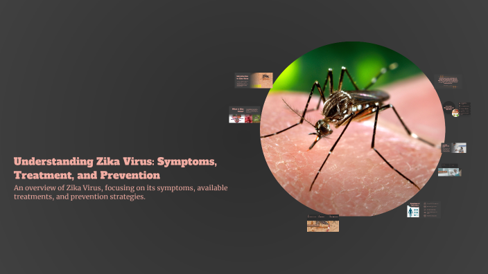 Understanding Zika Virus: Symptoms, Treatment, and Prevention by Mae ...