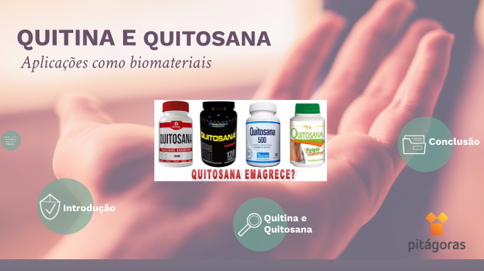 Quitina e Quitosana by Brendon Carvalho on Prezi