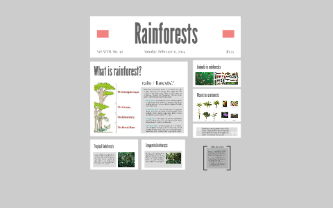 Rainforests by Kinki Wong on Prezi