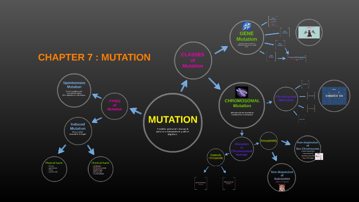 CHAPTER 7 : MUTATION by afiq amin on Prezi