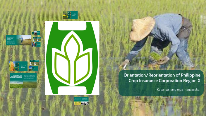 Understanding Philippine Crop Insurance Corporation by nono cents on Prezi