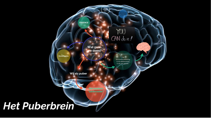 Het puberbrein by Desi den Dunnen on Prezi