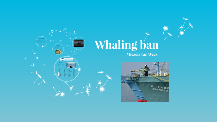 Whaling ban by on Prezi