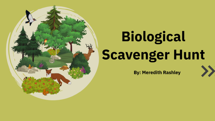 Biological Scavenger Hunt- Photo Montage by Meredith Rashley on Prezi